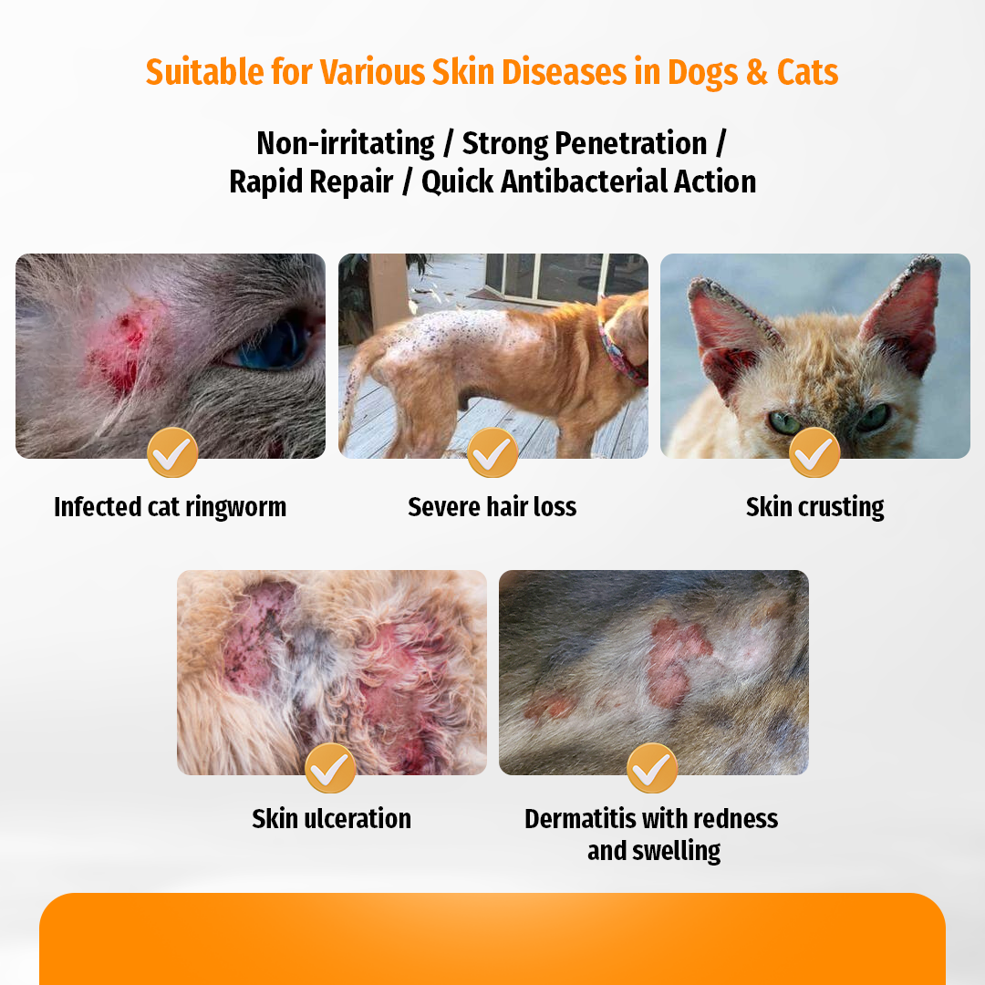 Cassiel Pet Cream Ointment For Ringworm Anti Mange Fungal & Itch Gamot ...