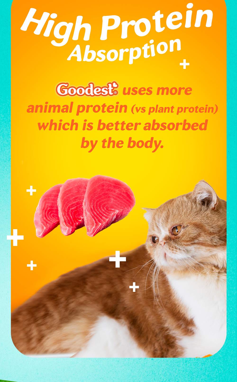 GOODEST Adult Cat Dry Food in Tasty Tuna, 1.2kg. | Shopee Philippines