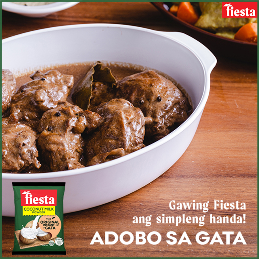 Fiesta Coconut Milk Powder 120g | The Original Instant Gata Powder ...