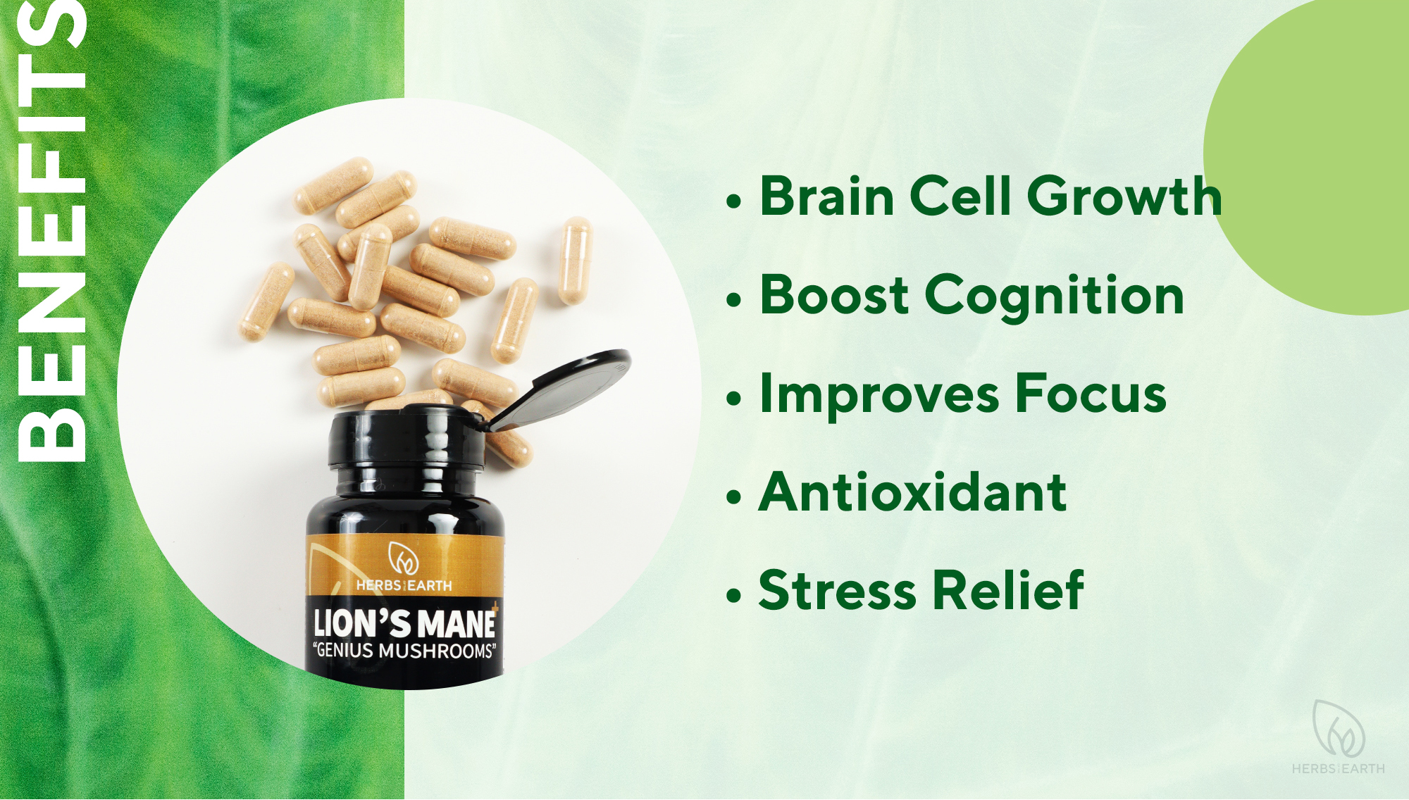 HERBS OF THE EARTH GENIUS IQ BUNDLE LION'S MANE 60s & ADAPTOGENS 60s NOOTROPICS MEMORY CLARITY ...