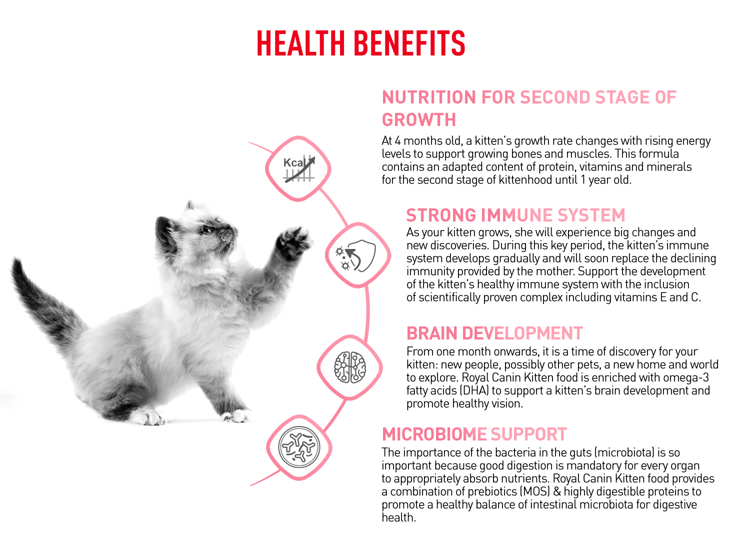 Royal Canin Kitten 36 Second Age 10kg (FREE 2 RC Kitten Instinctive 85g ...