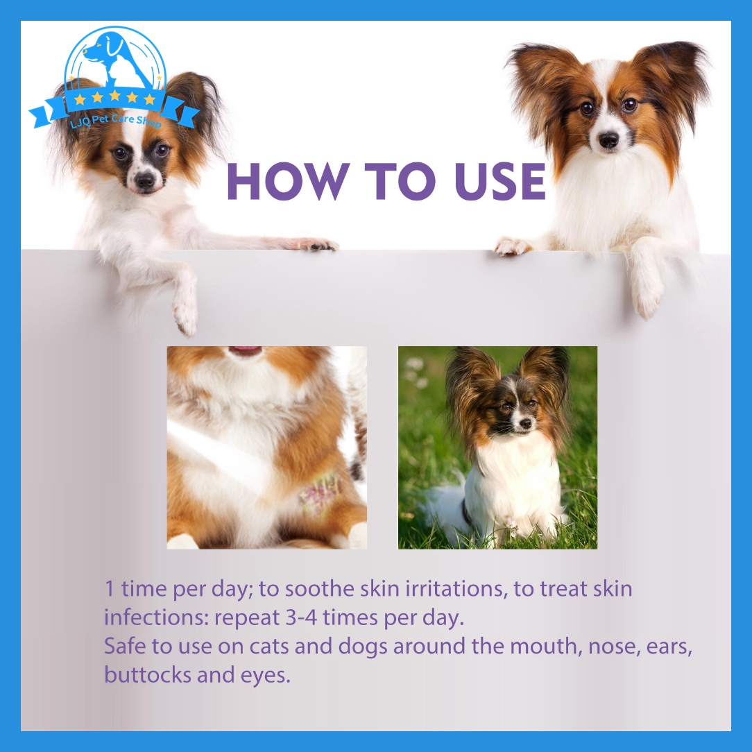 LJQ Pet Skin Spray 60ML Galis Ng Aso Gamot Antifungal Spray Dog and Cat ...