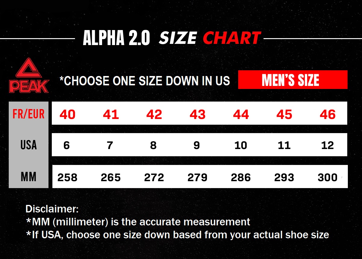 PEAK Men's ALPHA 2.0 Weatherproof Slides RLW2301 | Shopee Philippines