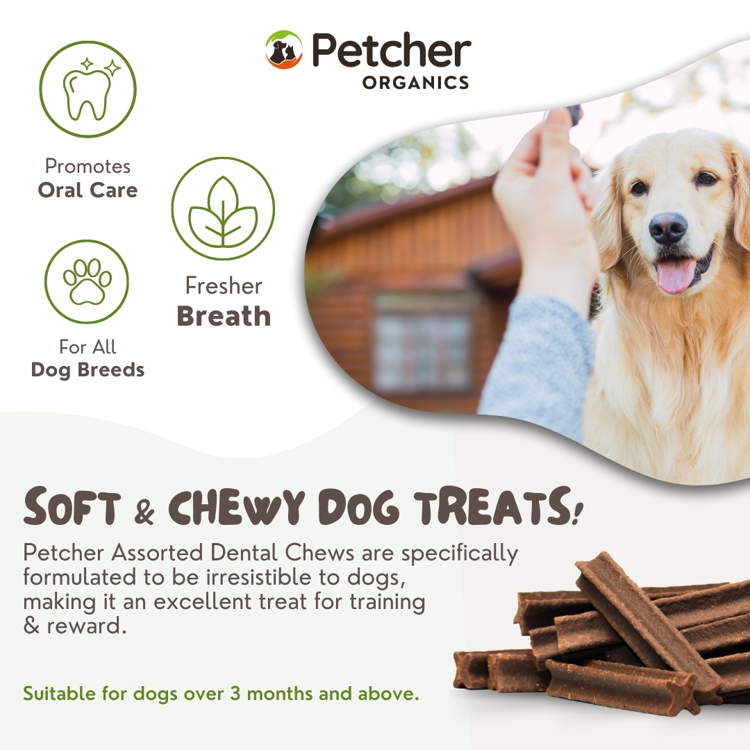 Petcher Organics Assorted Flavor Dental Sticks in Jar – Dental Care ...