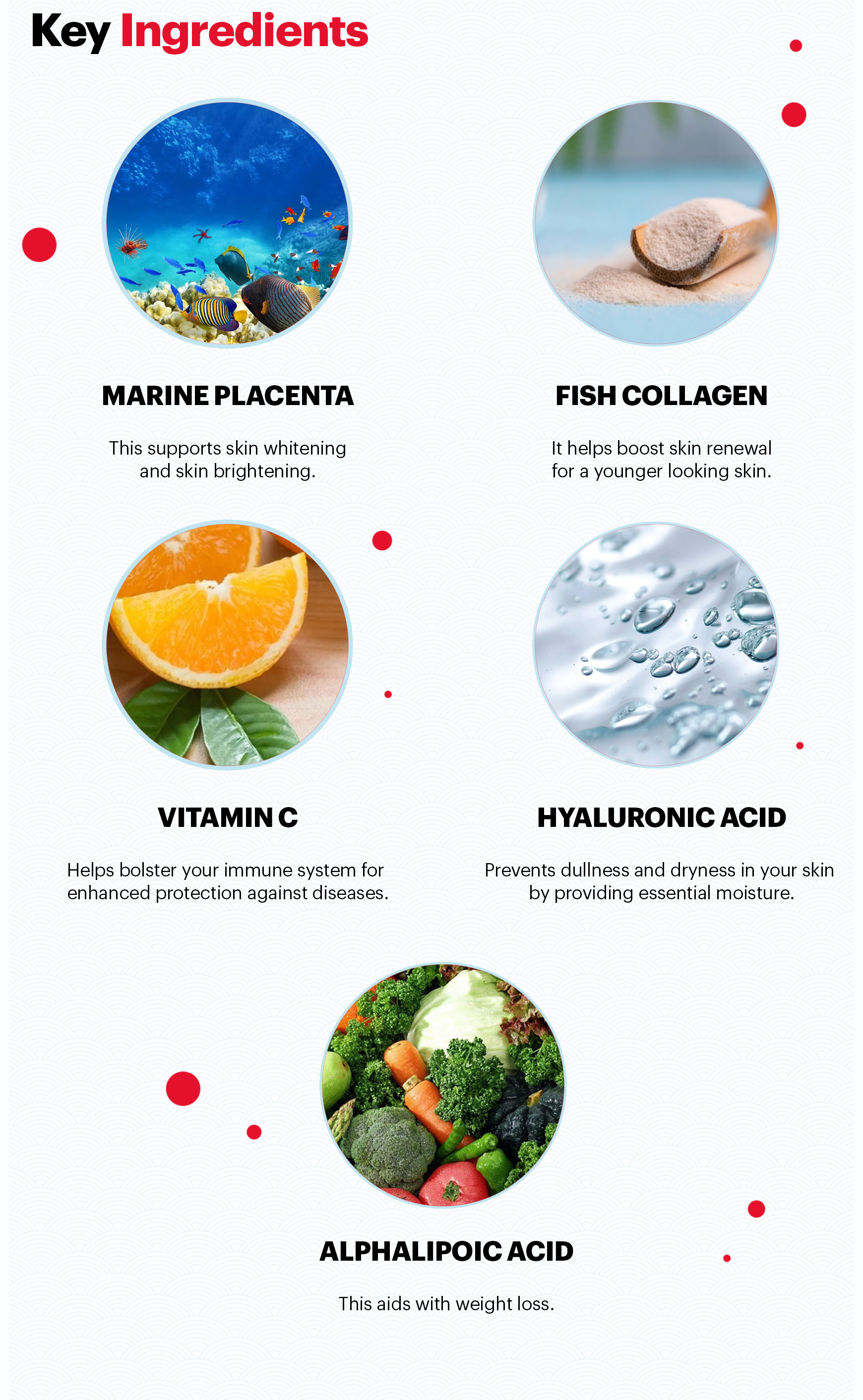 SKJN CollaCenta Combo Plus – Collagen Microtablets 90s & 5Point ...