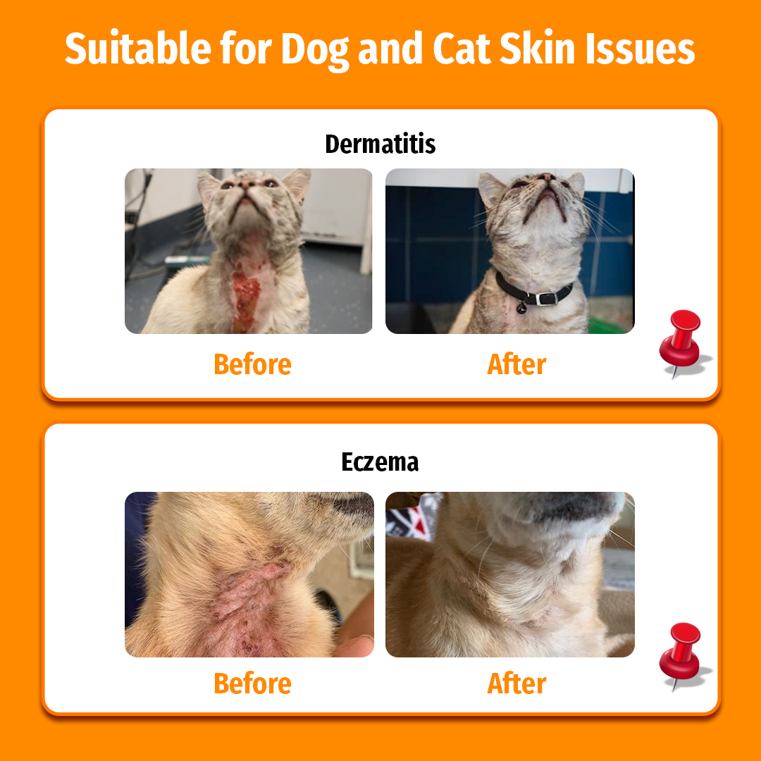 Cassiel Pet Cream Ointment For Ringworm Anti Mange Fungal & Itch Gamot ...