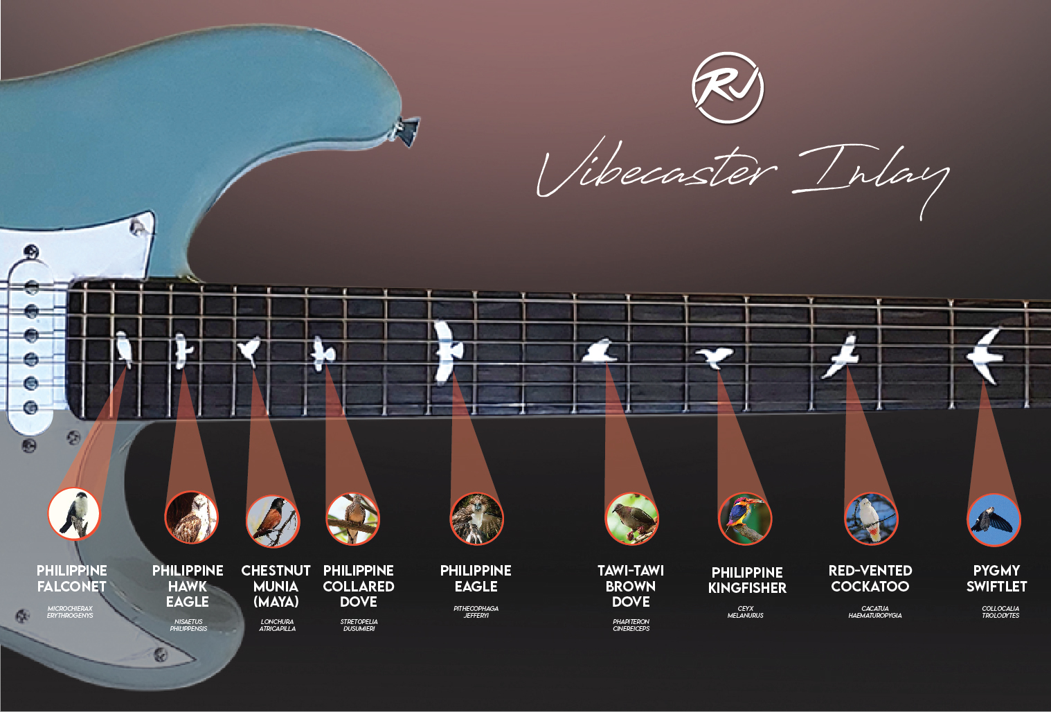 RJ Vibecaster Electric Guitar (Silversky, Stratocaster) | Shopee ...