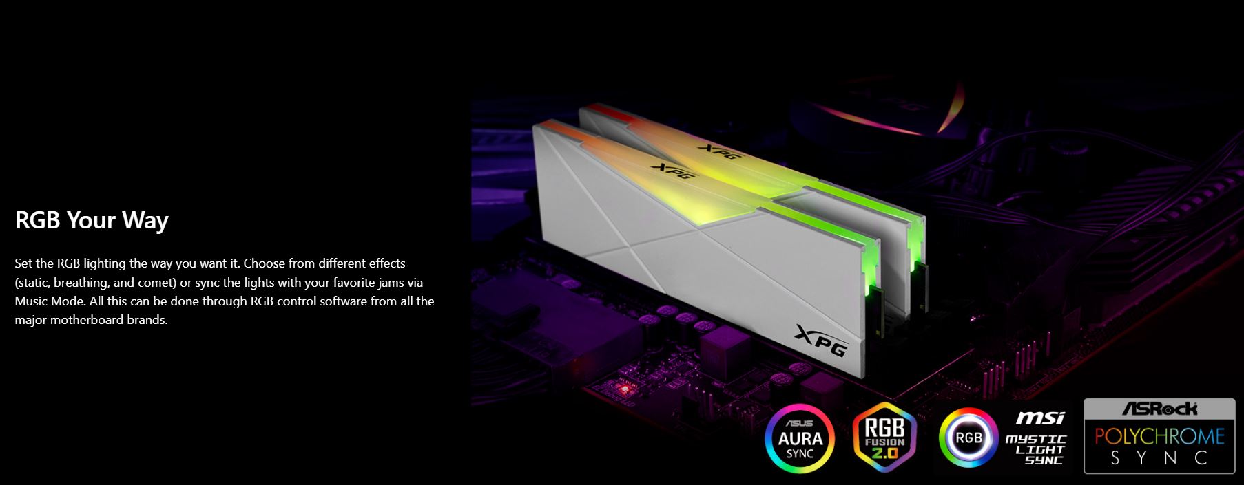 Adata SPECTRIX D50 DDR4 3600Mhz 16GB (2X8GB) RGB Memory Module (AD ...