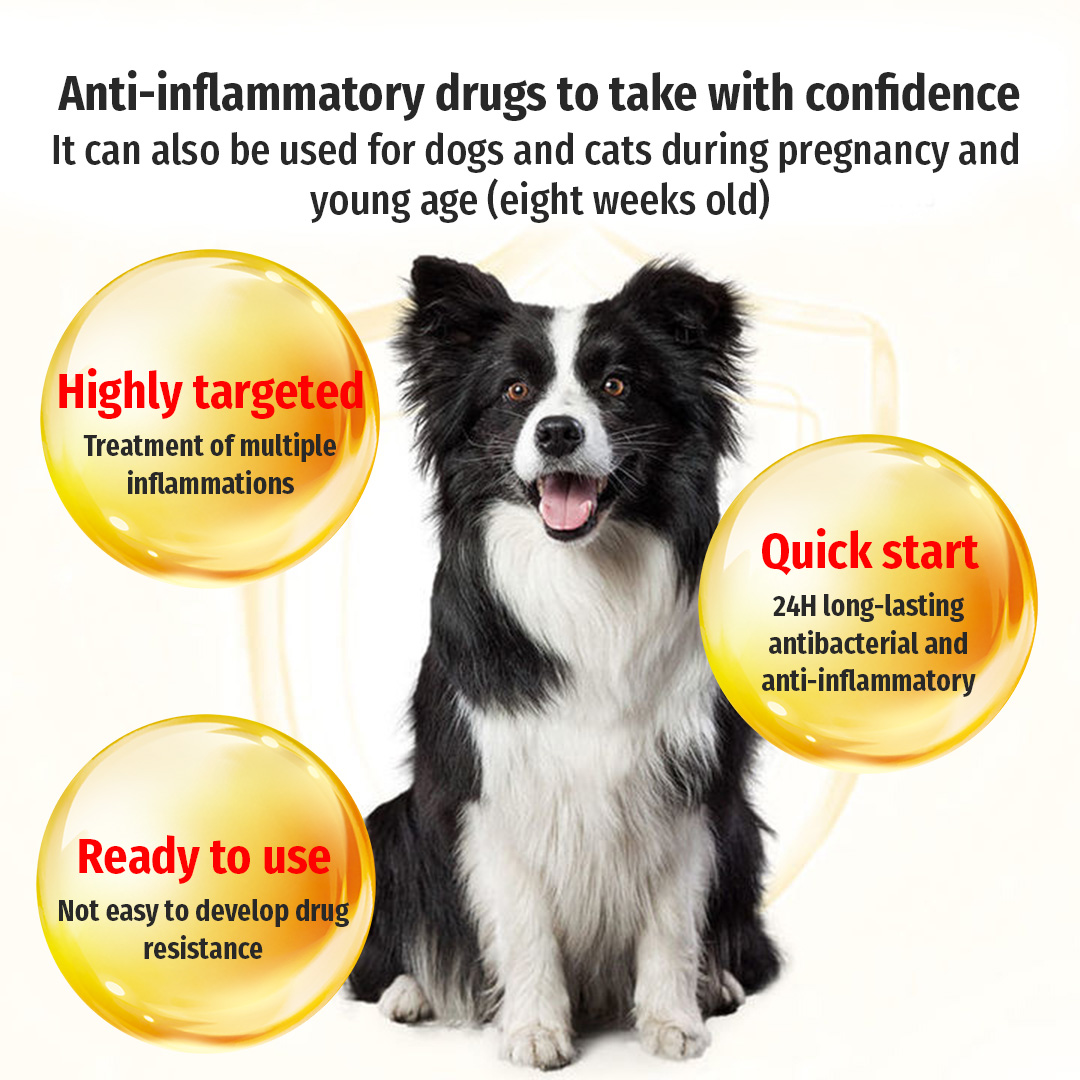 CASSIEL PET Anti-Inflammatory Drugs For Skin Ulcers,Increased Ear ...