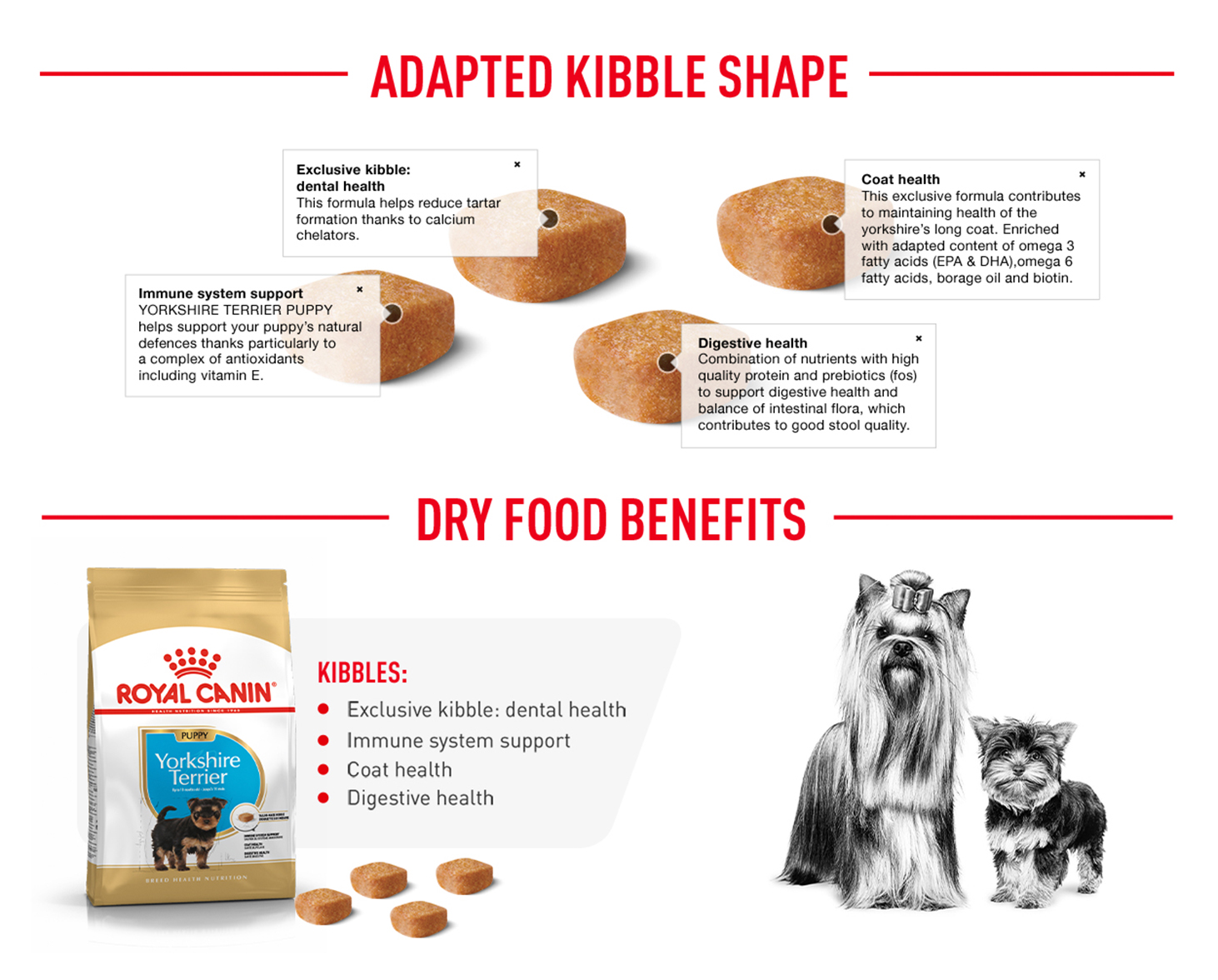 Royal Canin Yorkshire Puppy 1.5kg (FREE Yorkshire Adult Wet 85g ...