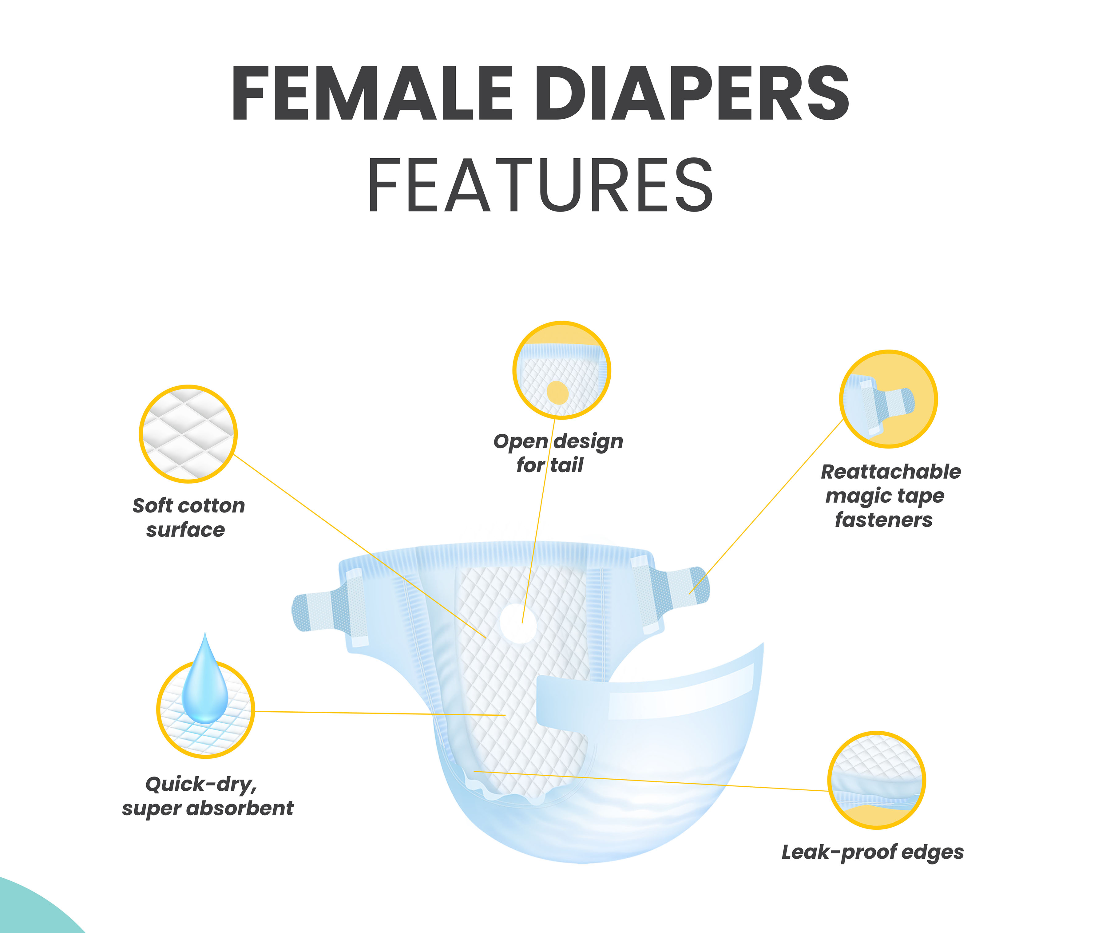 Bark and Spark Disposable Dog Diapers - Box of 12 (144 pcs), Male Wraps ...