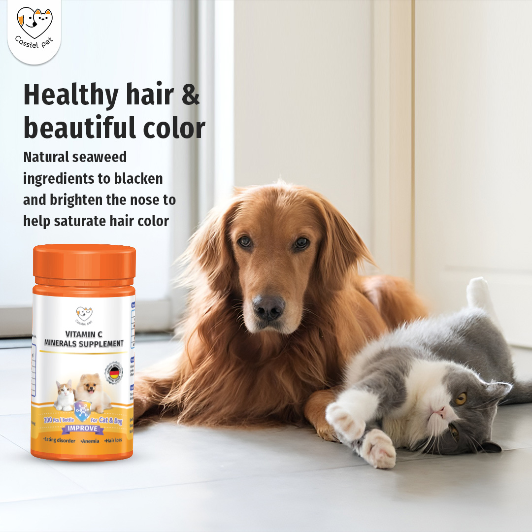 CASSIEL PET Multivitamin Supplement Vitamins Probiotics Calcium For ...