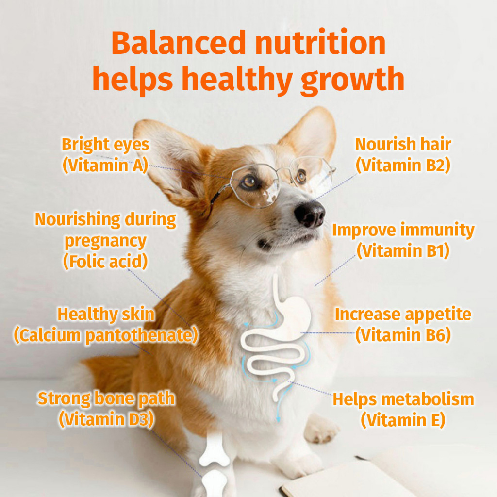 Multivitamins For Dogs Pet Multivitamins Supplement For Puppy Cat Dog ...
