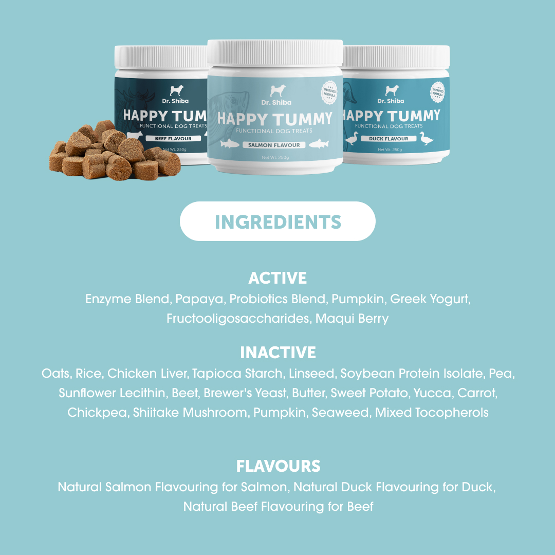 Dr Shiba Happy Tummy & Pro Immune Dog Treats Dog Multivitamins: Dog ...