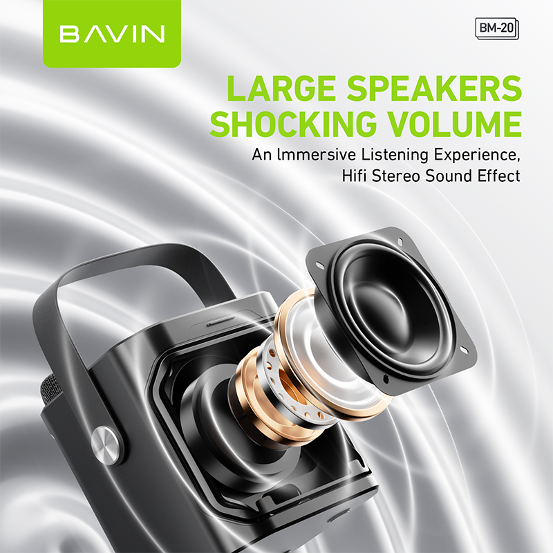 BAVIN BM20 Professional Karaoke Bluetooth Portable Speaker Dual ...