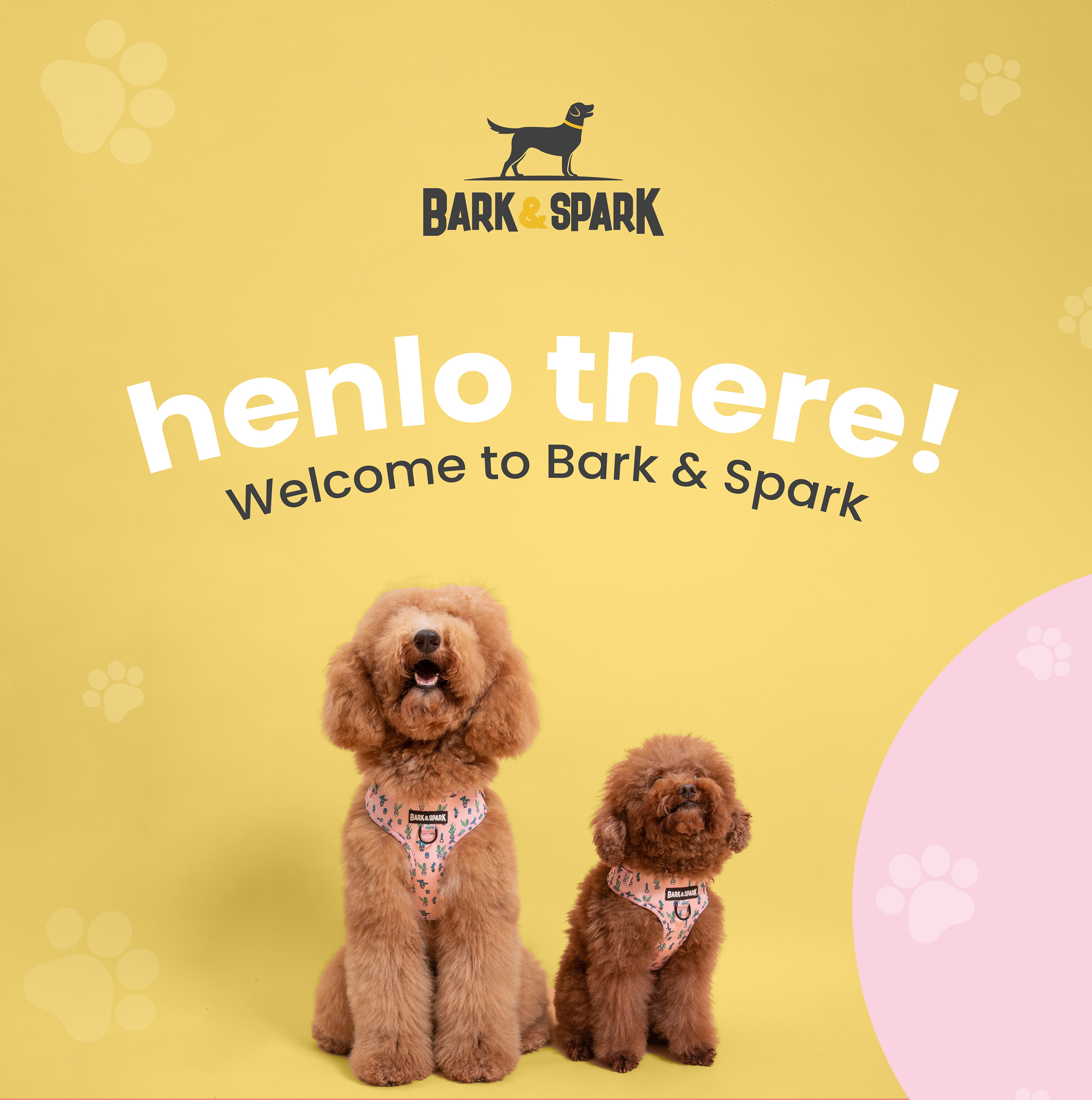 Bark and Spark Natural Paw and Bum Cleanser - No-Rinse Foam, Lavender ...