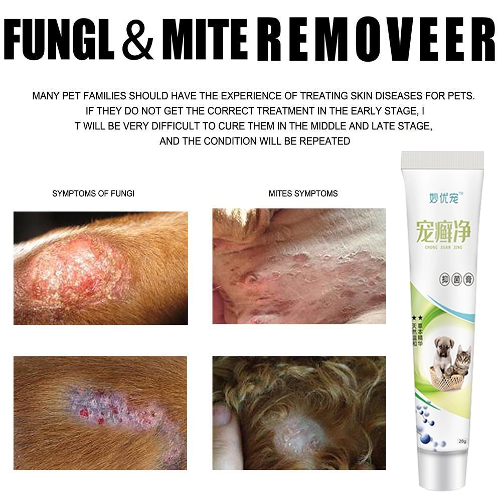 Dog Ointment For Skin Disease Gamot Sa Galis Ng Aso Healing Wounds ...
