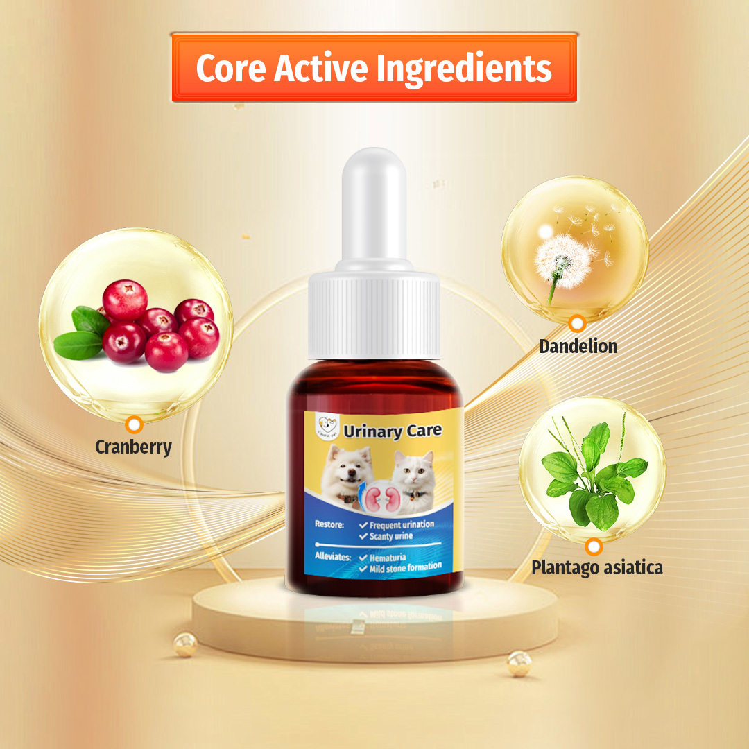 Cassiel Pet Urinary Care Supplement For Urinary Tract Infection Kidney Stones Renal For Dogs ...