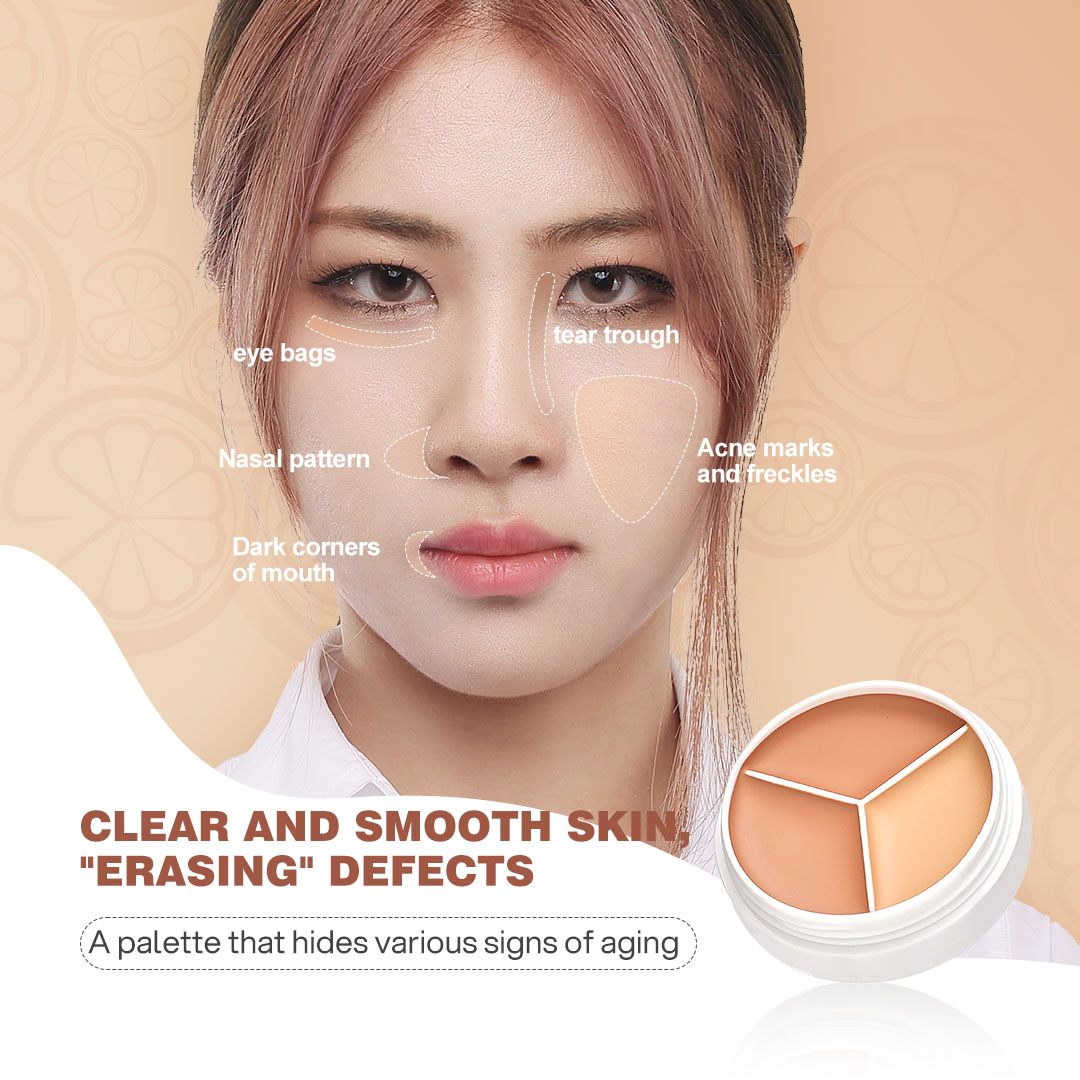 Ashley Shine 3 Colors Concealer Palette Pro Makeup Face Eye Contouring ...