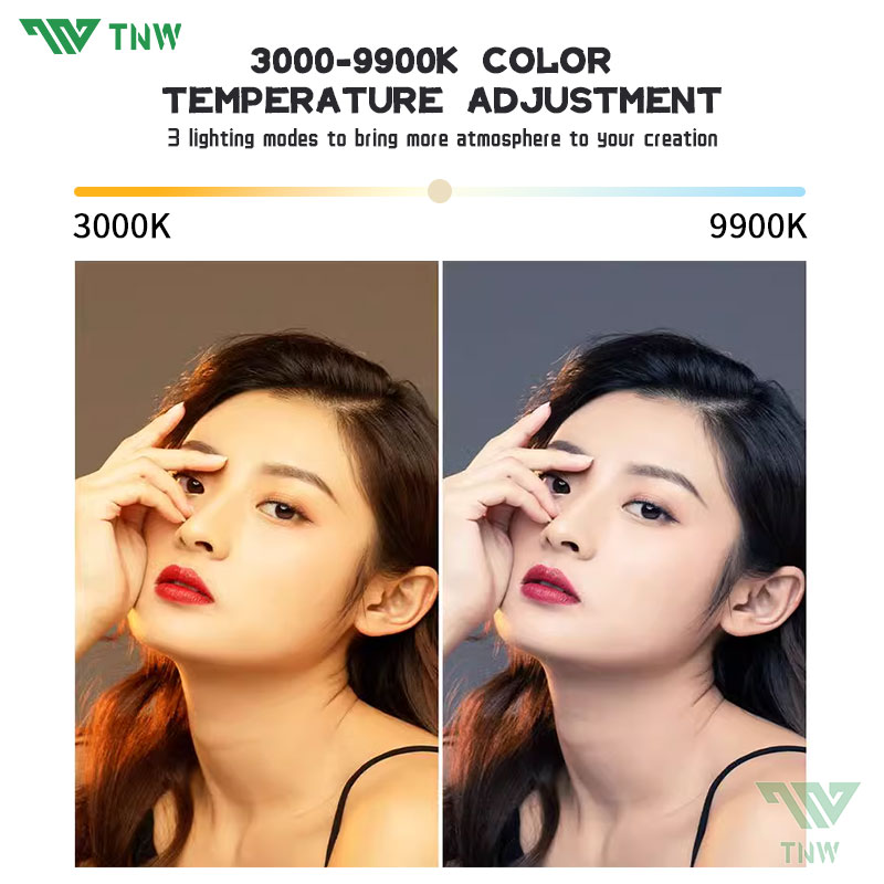 TNW D25 LED Video Light Camera Light with 1/4 Hot Shoe Mount Threaded ...