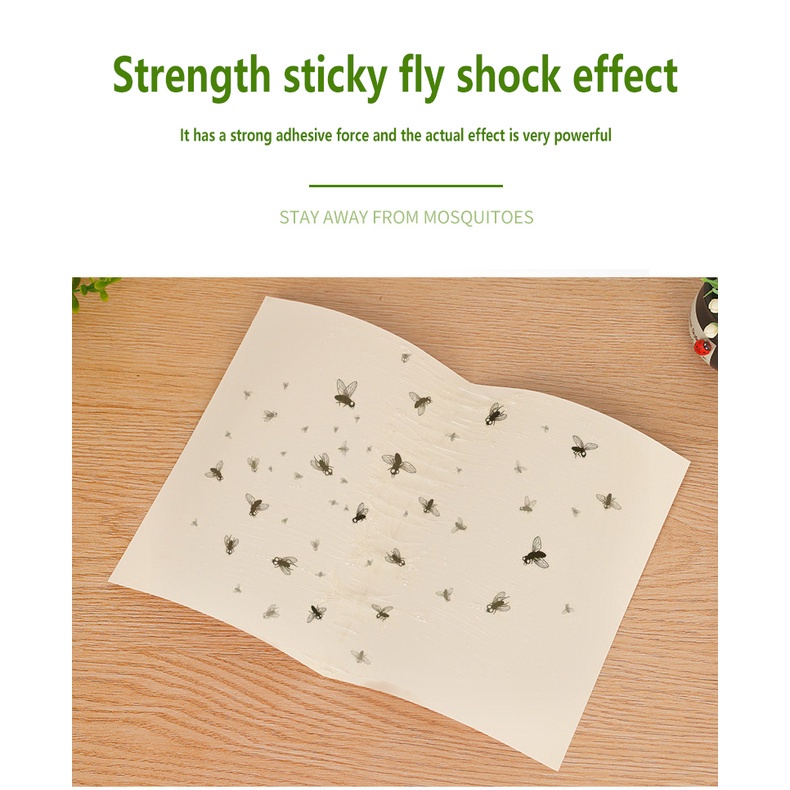 Insects Fly Larvae Fly Terminator Insect Trap Stickers Board 10Pcs ...