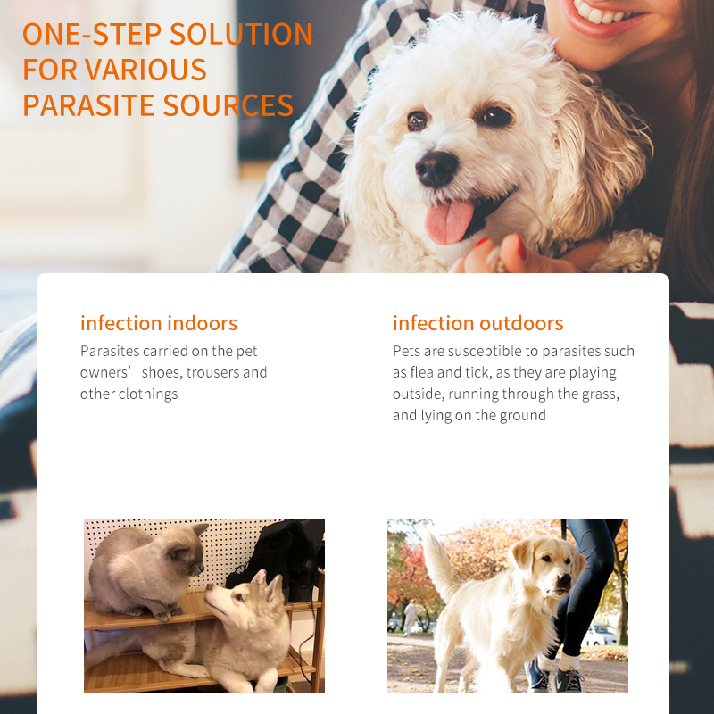 PUAINTA Dog Cat Anti Tick and Flea Remover for Dogs and Cats Garapata ...