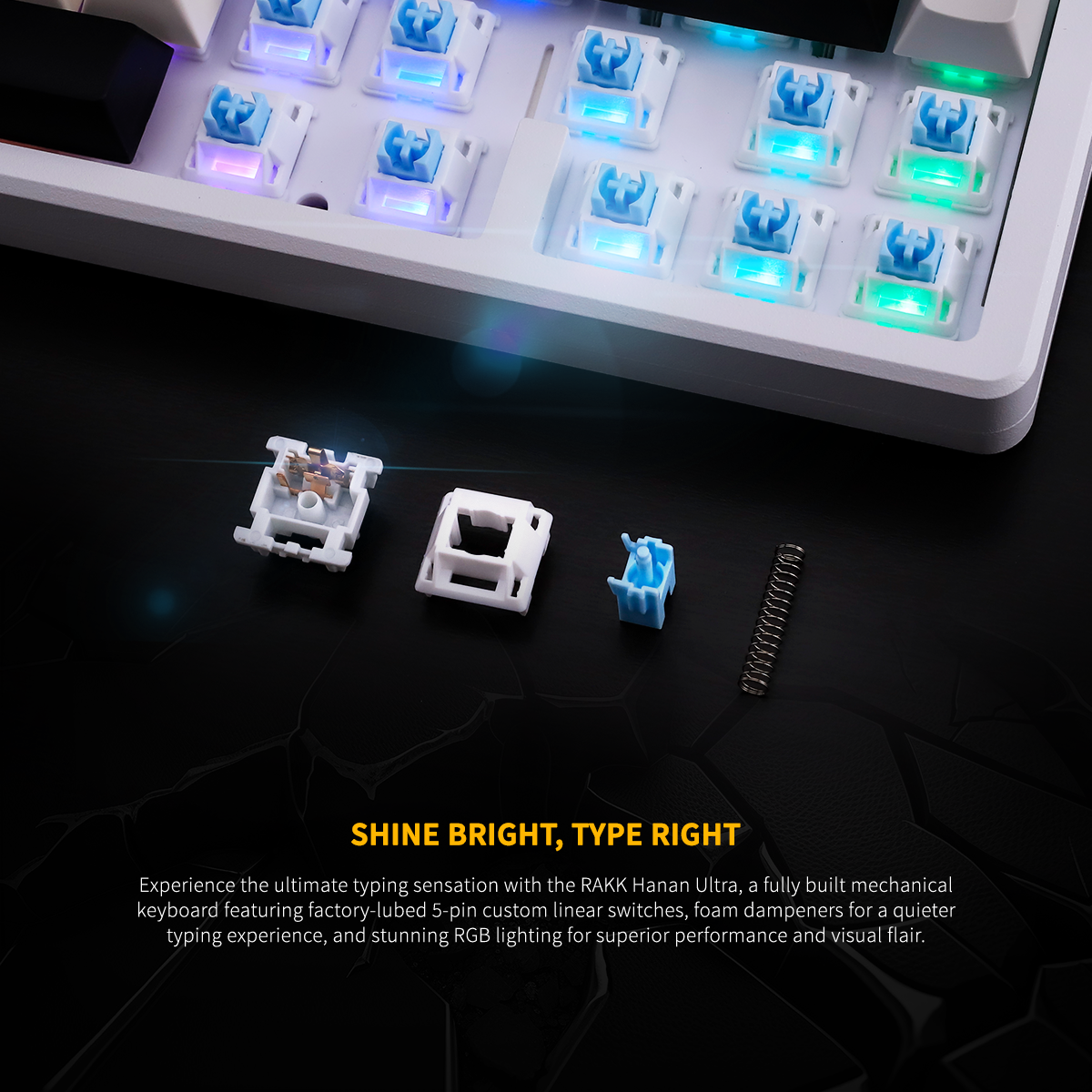 RAKK Hanan Ultra Gasket Mount Aluminum Case 81 Keys Trimode Mechanical ...
