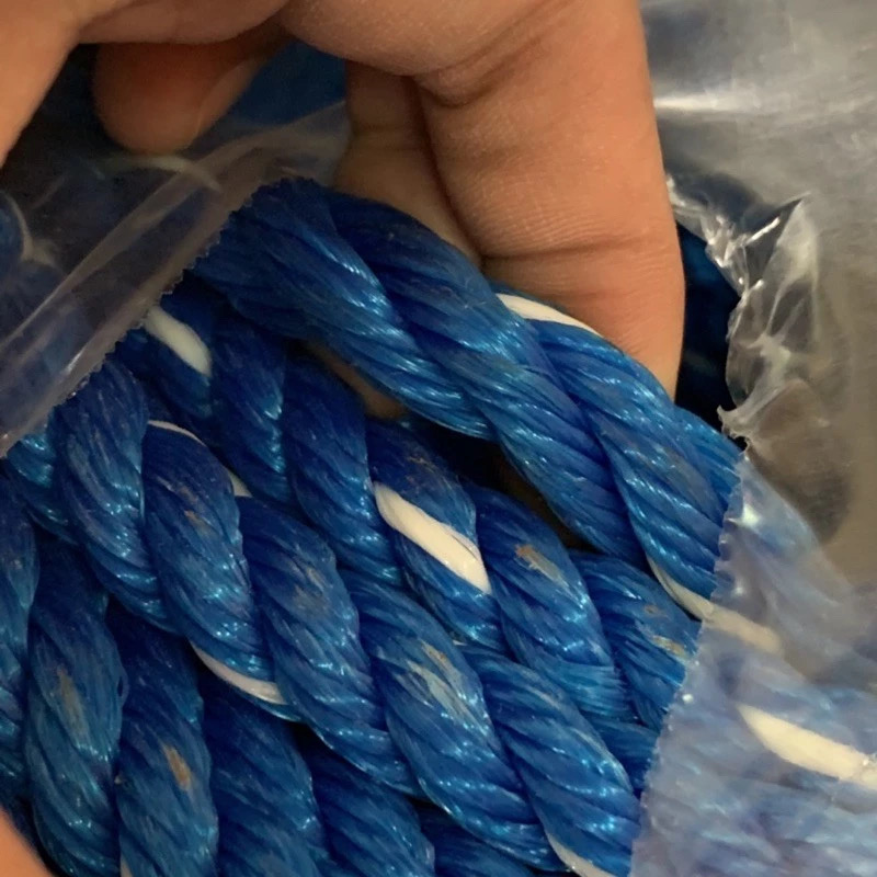 Per Mtr | 7MM-20MM | ENT Skyline Polypropylene PP Rope | Twine Lubid ...