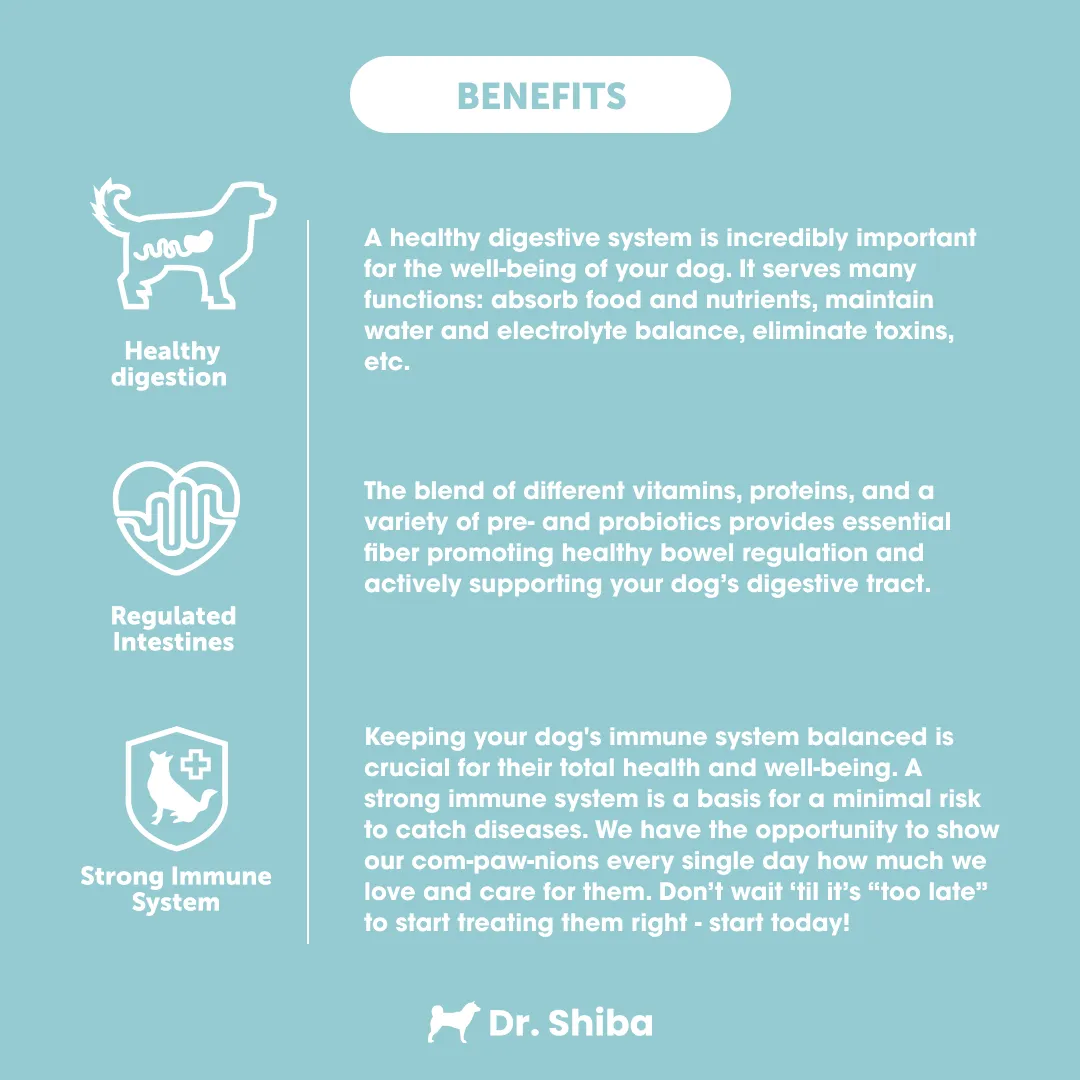 Dr Shiba Happy Tummy & Pro Immune Dog Treats Dog Multivitamins: Dog ...