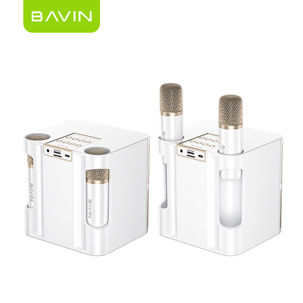 BAVIN BM22 Mini Amplifier Karaoke Bluetooth Wireless Speaker with Heavy ...