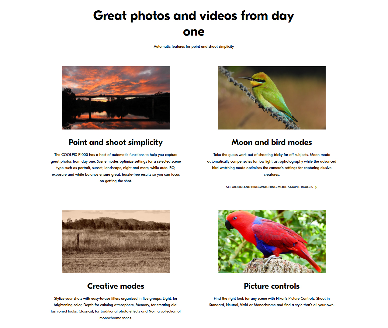 Nikon COOLPIX P1000 Digital Bridge Camera w/ 4K 30 FPS Video, 16 MP ...