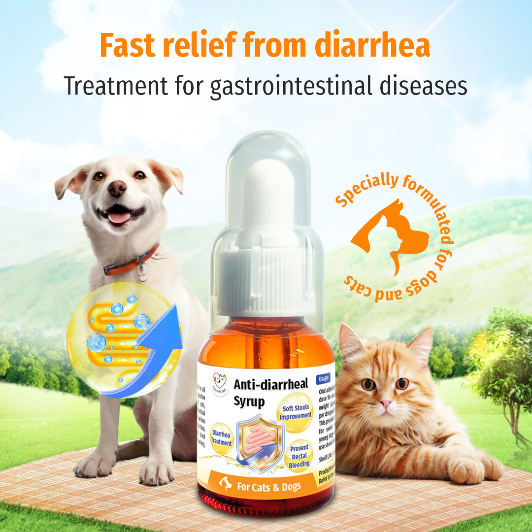 Cassiel Pet Anti-Diarrheal Syrup Oral Suspension For Vomiting Bloody Or ...