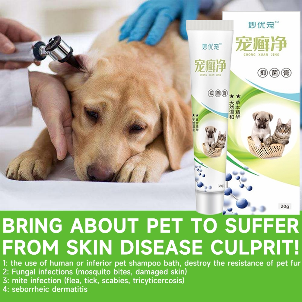 Dog Ointment For Skin Disease Gamot Sa Galis Ng Aso Healing Wounds ...