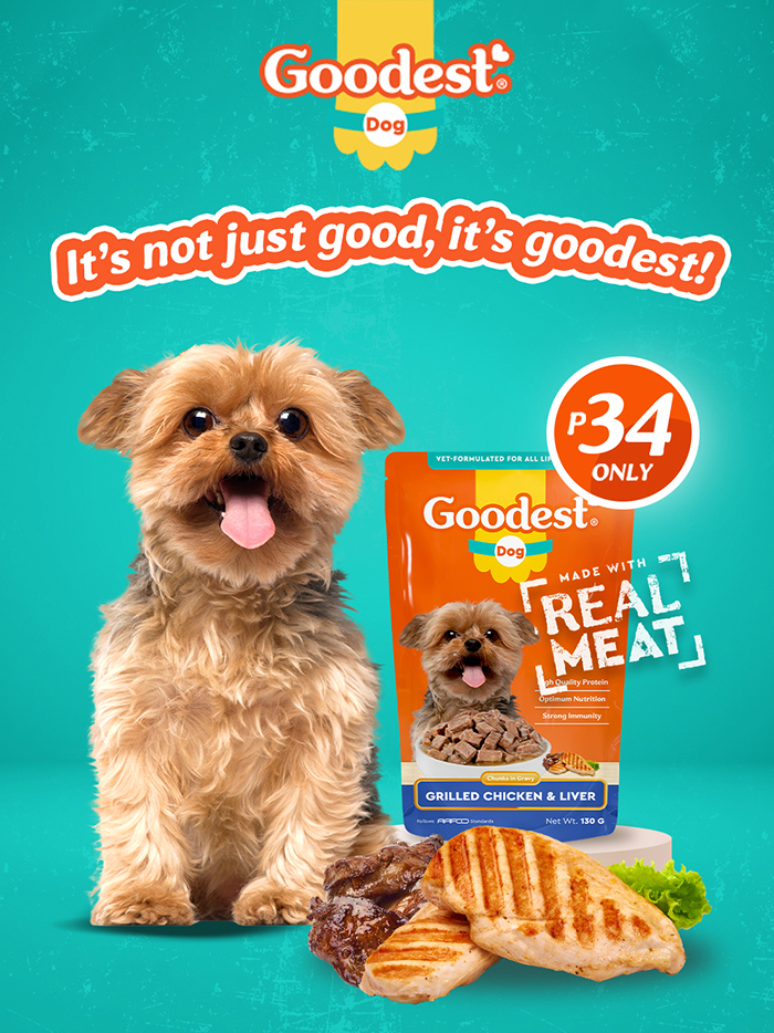 Goodest Dog Multivariant Wet Dog Food Pouch 130g Bundle Pack of 6 ...