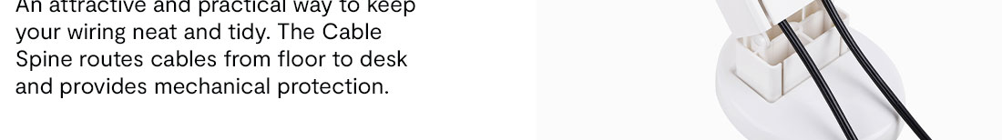 FlexiSpot CMP017 Cable Management Spine 47" Desk Cord Organizer Vertebrae Keep Cords Safer ...