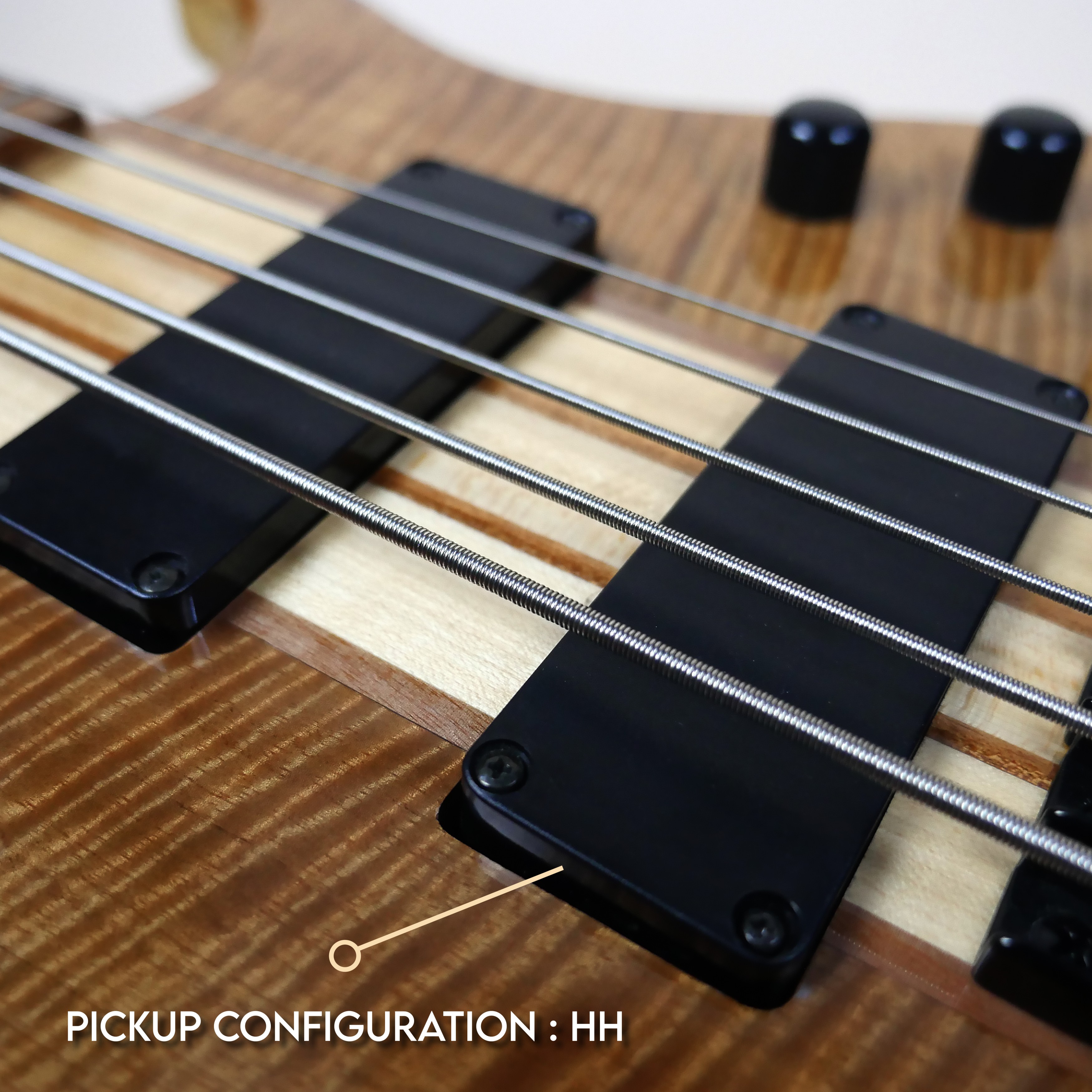 RJ Professional Electrics - Fusion V 5-String Bass Guitar | Shopee ...