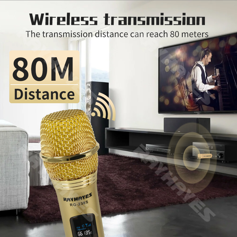 Rayhayes Wireless Microphone original For Videoke Dual Handheld ...