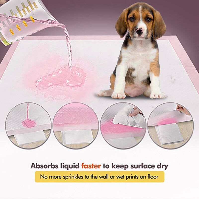 100pcs/50pcs/40pcs Dog Pee Pad Per Pack Pee Pads For Dogs Puppy Pet Wee ...