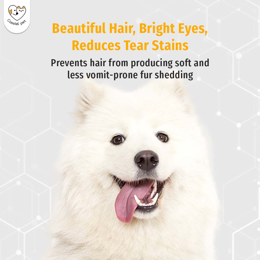 Cassiel Pet Nutri Plus Gel, Nutrich, Vitamins And Supplement For ...