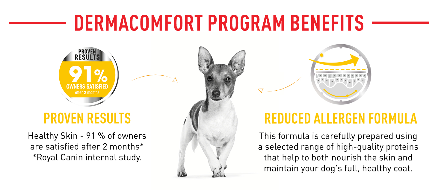 Royal Canin Mini Dermacomfort 3kg Adult Dry Dog Food Canine Care ...