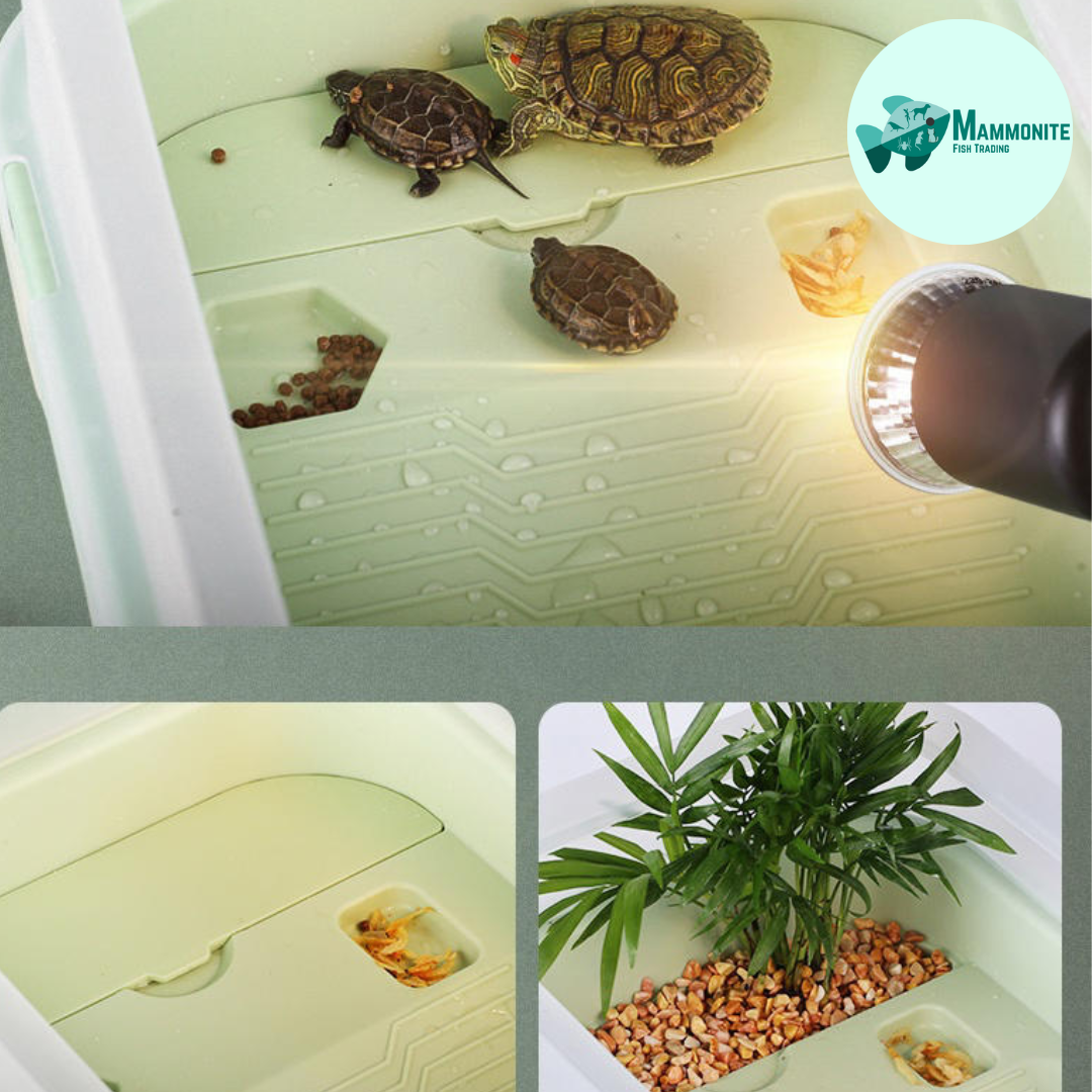 Sunsun Modern Turtle Tank with Filtration FG-T Series Turtle tub ...