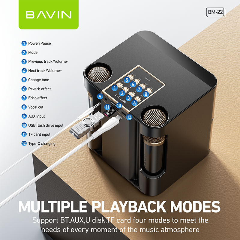 BAVIN BM22 Mini Amplifier Karaoke Bluetooth Wireless Speaker with Heavy ...