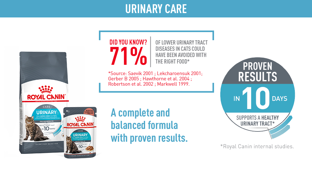 Royal Canin Urinary Care 10kg Adult Dry Cat Food (FREE 1 RC URINARY WET ...