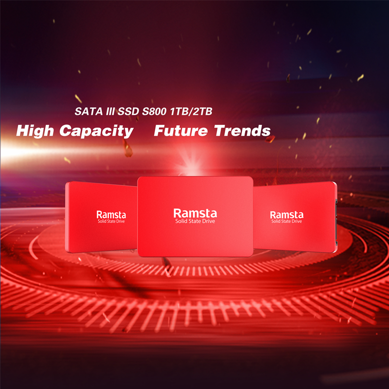 Ramsta 2.5" SSD 128GB 256GB 512GB 1TB Solid State Drive / SSD Sata III ...