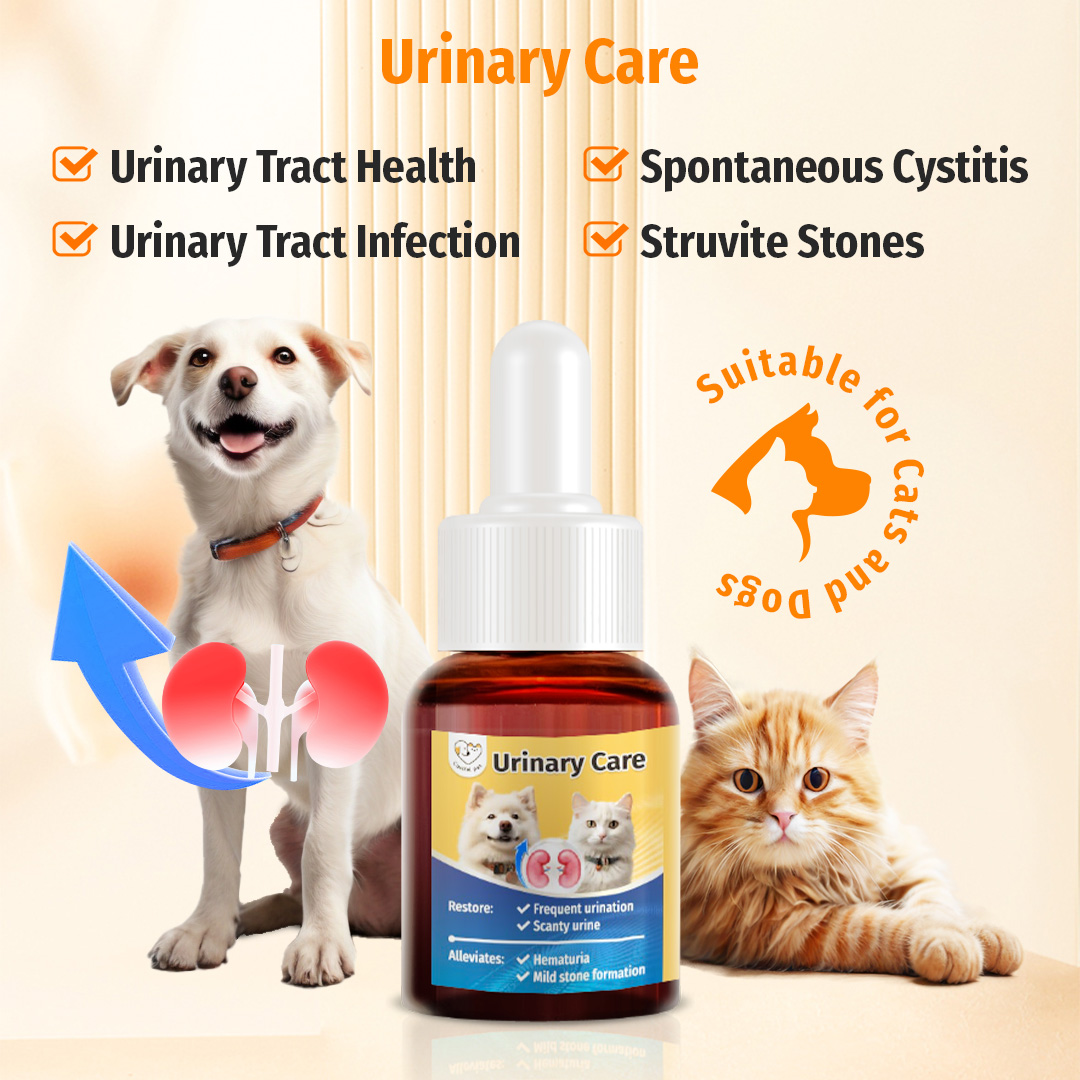 Cassiel Pet Urinary Care Supplement For Urinary Tract Infection Kidney ...