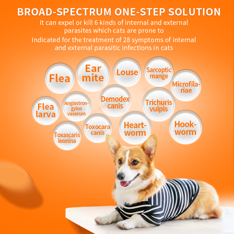 PUAINTA Deworming for Dog Tick and Flea Remover 2 In 1 Dewormer for Dog ...