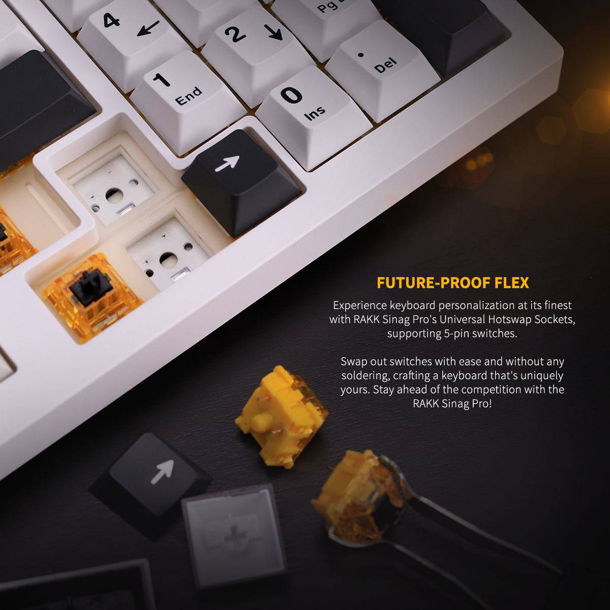 EasyPC | RAKK SINAG PRO Trimode Gasket Mount 1.4" TFT Screen 96 Keys ...