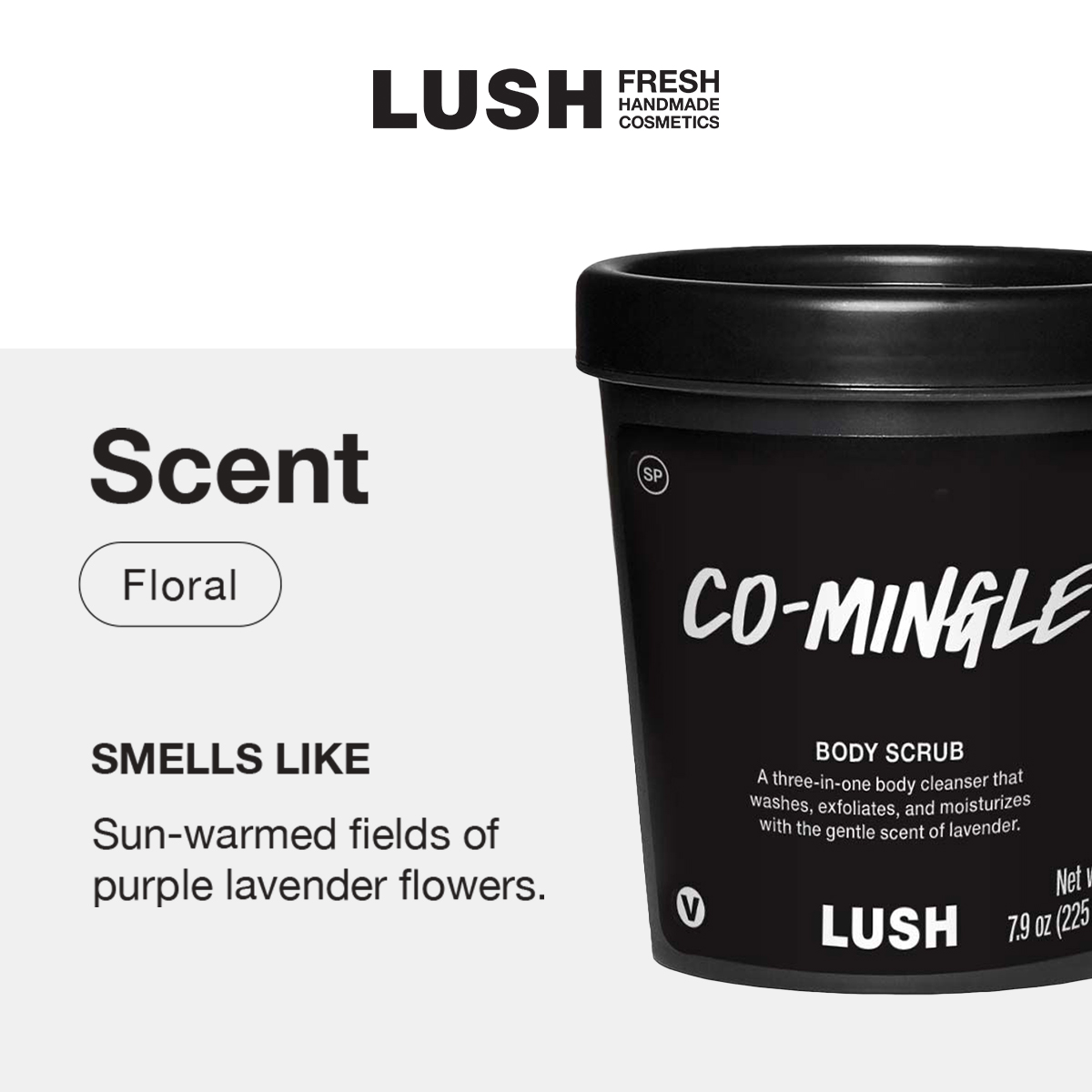LUSH Co-Mingle Body Scrub 225g (Exfoliating) (Calming) (Moisturizing) | Shopee Philippines