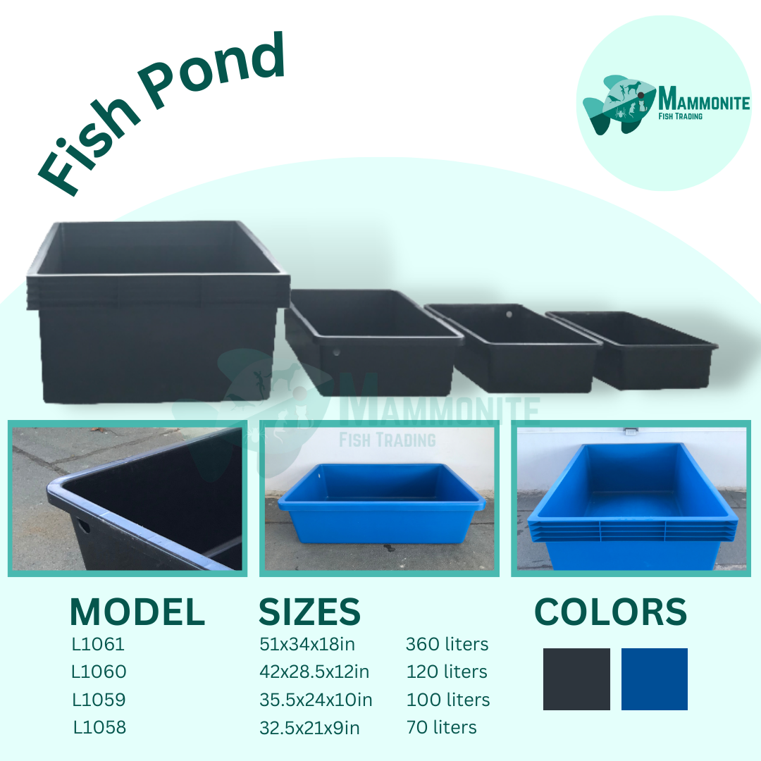 Plastic Fish Pond / Plastic Fish Tub / L1061 / L1060 / L1059 / L1058 ...