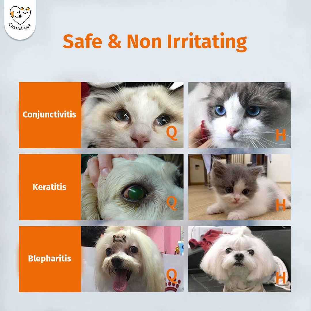 CASSIEL PET Gentamicin Sulfate Eye Drops For Infection For Dogs & Cats ...